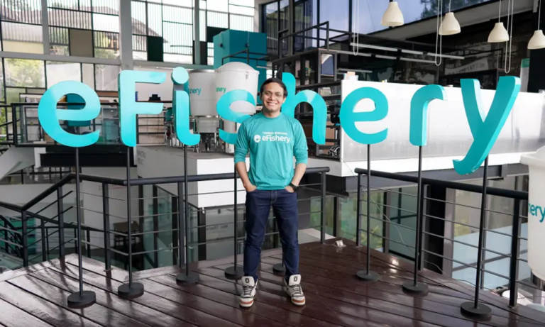 Temasek-backed eFishery accused of inflating revenue and profit by US ...